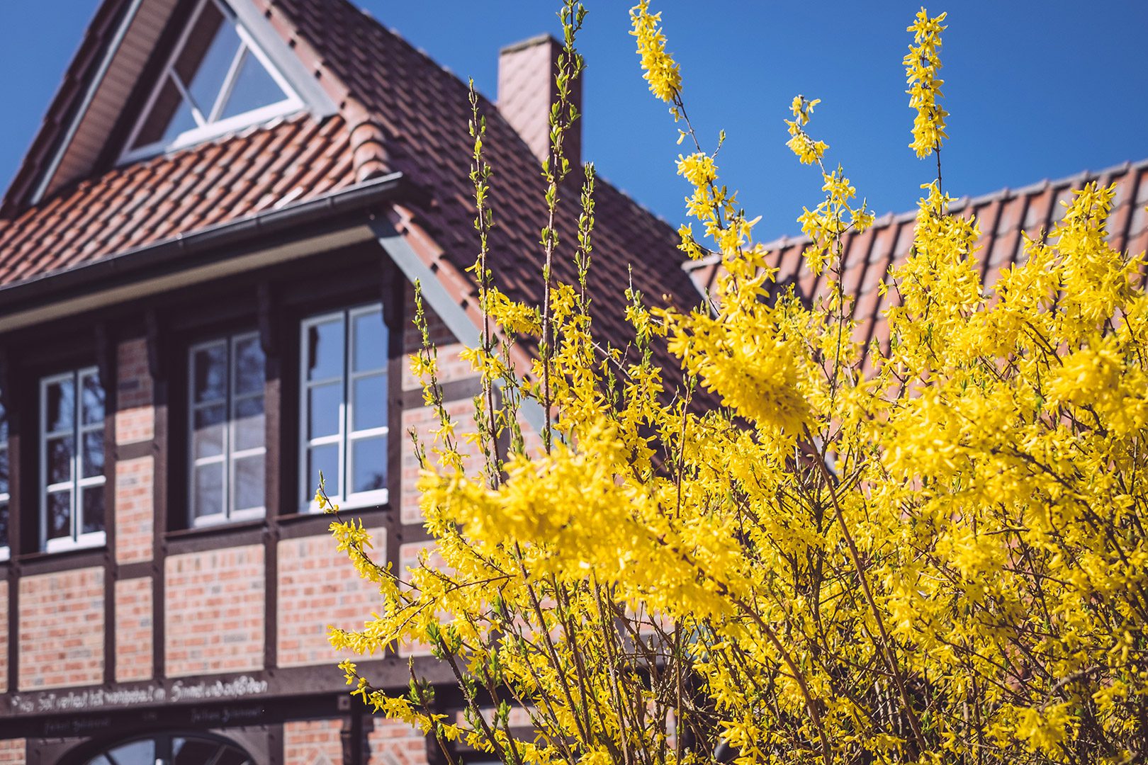 Köhlen (Geestland, Niedersachsen) | Landlinse